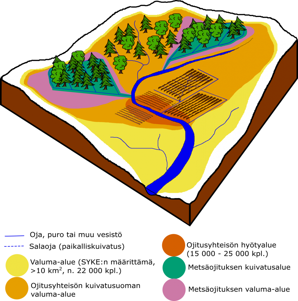 Valuma-aluesuunnittelussa huomioidaan erilaisia näkökulmia | Vesi.fi